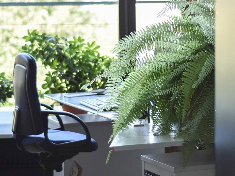 Enhancing Biophilic Design with Smart Glass: Benefits and Applications ...